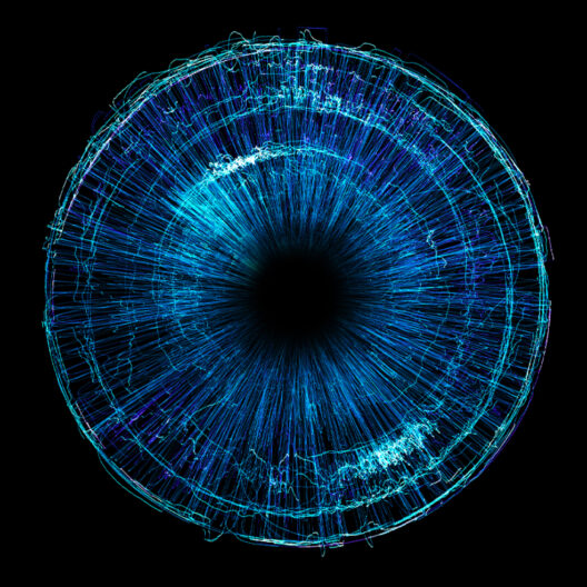 Data Visualization as a Service (DVaaS) | Calligo